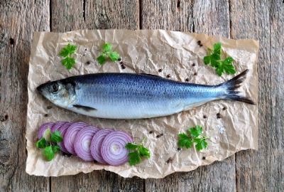 Hering-Warenkunde: Wissenswertes über den beliebten Speisefisch